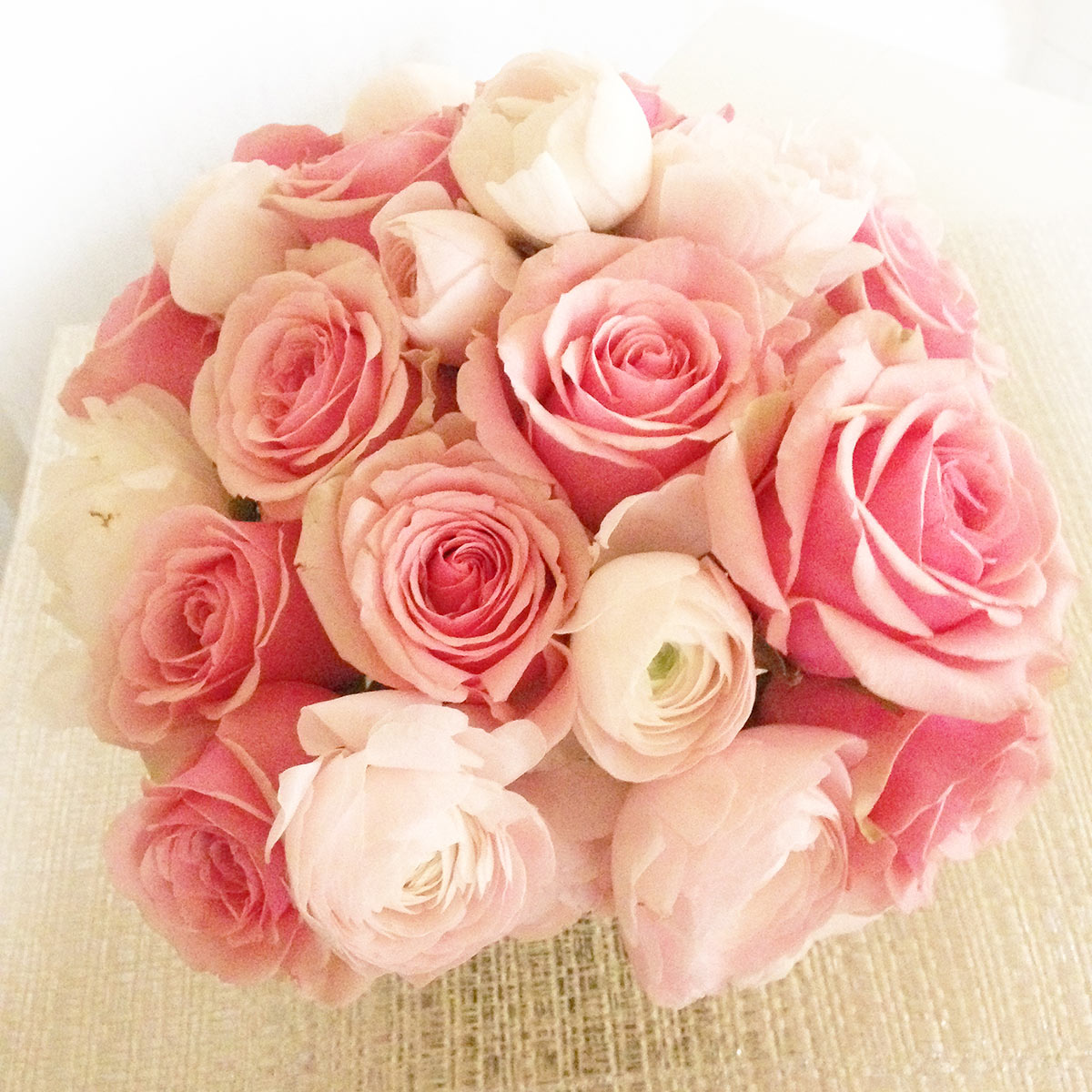 Maria Villalba Designs